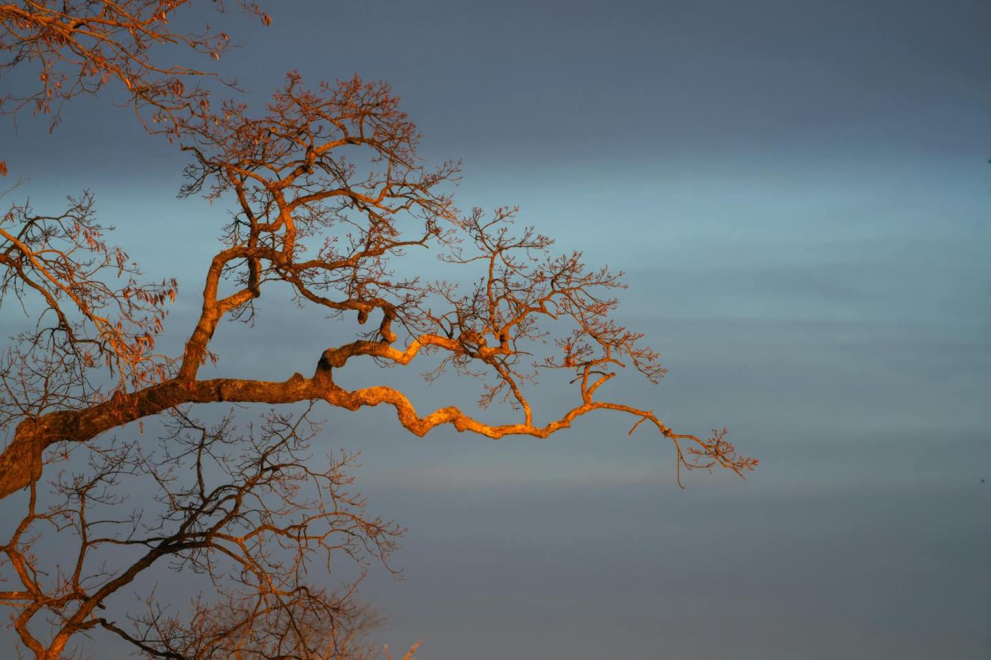 February light – Wisconsin Poetry Blog